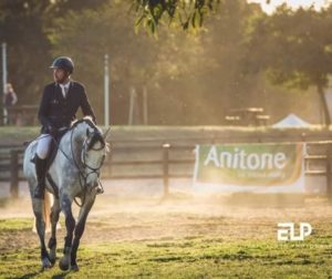 Anitone Animal Supplements | Australia