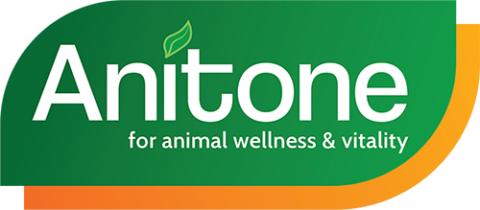 Animal Feed Supplements Australia | Anitone