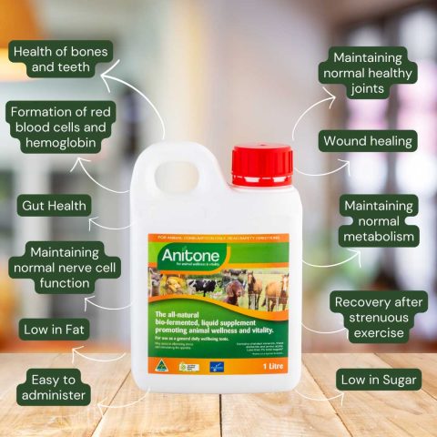 Anitone Animal Supplements | Australia